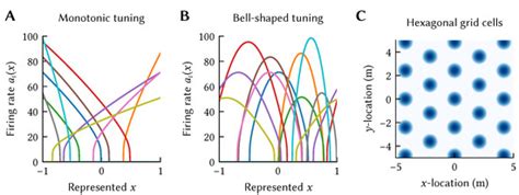 brain sciences free full text biologically based computation how neural details and