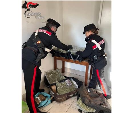 Arrestato Minorenne Con 16 Kg Di Droga Nel Bassanese TViWeb