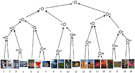 figure 4 from unsupervised image set clustering using an information theoretic framework