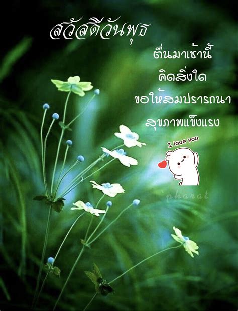 Yuno Happy Wednesday I Love You Save Quick Te Amo Je T Aime Love You