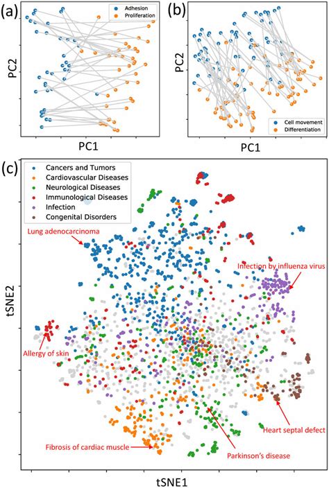 discovery of latent biological relationships from function embeddings download scientific