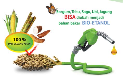 TEORI DASAR PROSES PEMBUATAN BIOETANOL EQUATOR NUSANTARA