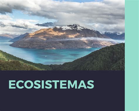 Solution Ecosistemas Studypool