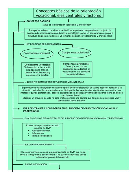 Organizador Gráfico psico Conceptos básicos de la orientación