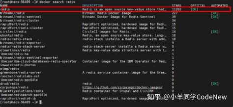 docker 入门教程 安装redis 知乎