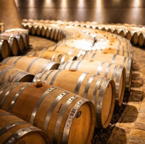 Angelica Zapata Malbec um dos vinhos argentinos mais cobiçados