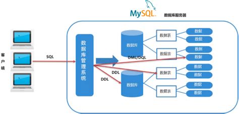 mysql概念及idea连接数据库管理系统语法分类ddl，dml，dql，聚合函数，分组查询，约束，表关系 idea和数据库的链接名可以是关键词吗 csdn博客