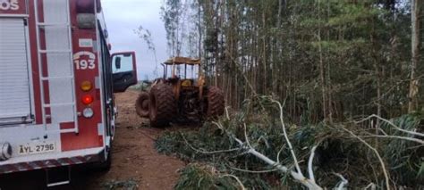 Trabalhador morre após ser atingido por tronco durante corte de árvores