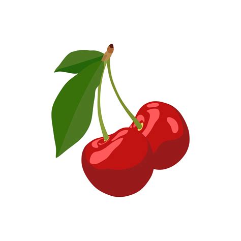 Cherry Vector Icon Isolated On White Background Flat Cartoon Style