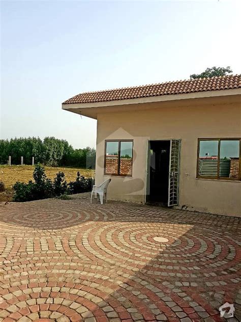 7 Kanal 11 Marla Farm House For Sale Near Chaudhary Farms Barki Road