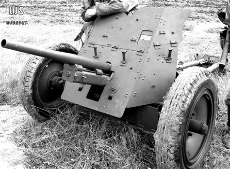 Tank Archives Cm Pak Life Of The Doorknocker