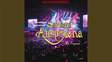 Tu Falta De Querer Cover YouTube