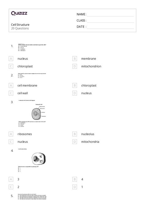50 Structure Of A Cell Worksheets For 9th Grade On Quizizz Free