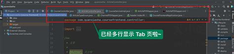 idea tab 页设置多行显示（图文讲解） 犬小哈教程