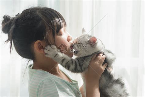 美丽的亚洲女孩亲吻美国短头发猫在阳光下高清图片下载 正版图片502538464 摄图网