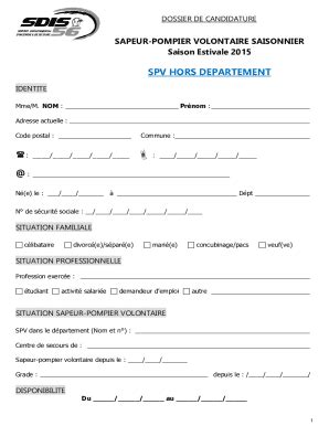 Remplissable En Ligne DOSSIER DE CANDIDATURE SAPEUR POMPIER Faxer
