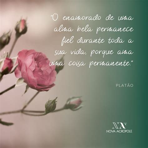 Pin De Castro Em Salvamentos R Pidos Em Frases De Conhecimento