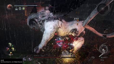 Nioh White Tiger Youtube