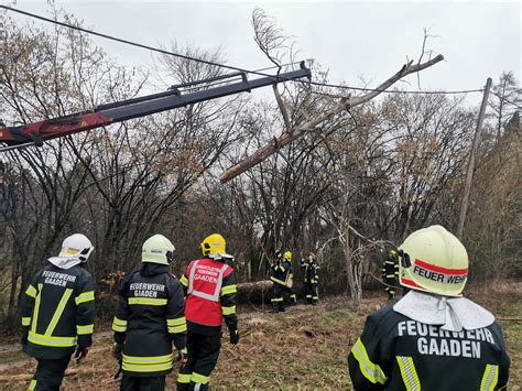 Baum Auf Stromleitung Gest Rzt Freiwillige Feuerwehr Gaaden