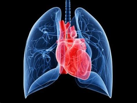 Edema Pulmonar Cardiogenico Image To U