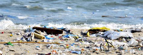 Como acontece a poluição dos rios e mares Resiclean