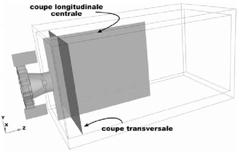 D Finition Des Plans De Coupes Longitudinale Et Transversale Pour La