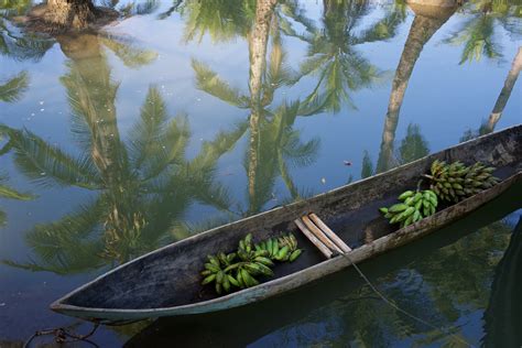 The Top 10 Colombian National Parks For Filming Natural History