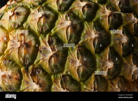 Pineapple Skin Rough Texture Hi Res Stock Photography And Images Alamy