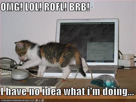 Image 234140 I Have No Idea What I M Doing Know Your Meme