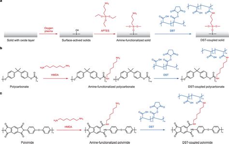 Surface Functionalization Of Engineering Solids A Primary Amine