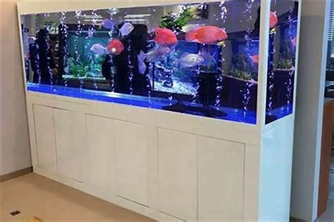 鱼缸要看风水吗什么叫风水鱼缸 风水 若朴堂文化