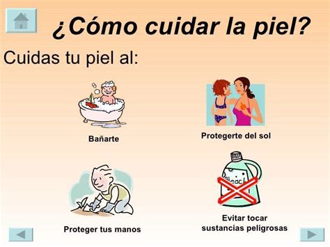 Resultado De Imagen Para Como Cuidar El Sentido Del Tacto En 2022
