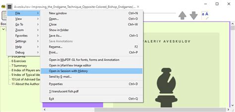 advanced option to make rememberstateperdocument a location dependent setting · issue 611