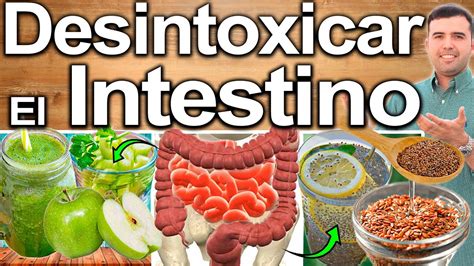 PORQUÉ DESINTOXICAR EL INTESTINO Beneficios De Hacer Una Limpieza De