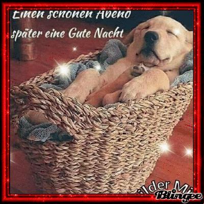 Einen Sch Nen Abend W Nsche Ich Dir Gute Nacht Lustig Guten Abend