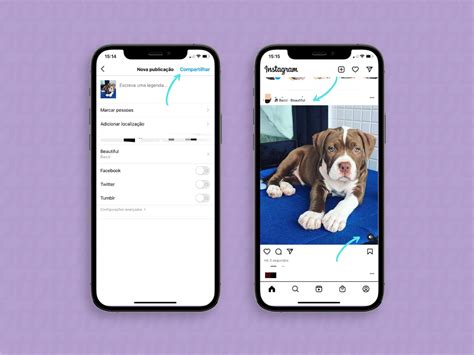 Como colocar música na foto do feed do Instagram