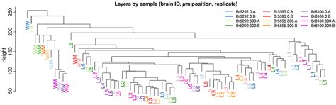 Transcriptome Scale Spatial Gene Expression In The Human Dorsolateral