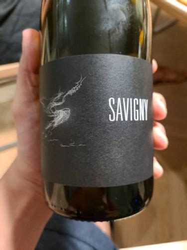 Domaine Prieur Roch Arnaud Lopez Savigny Vivino