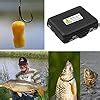 Amazon OROOTL Carp Fishing Tackle Kit Box 277pcs Carp Fishing