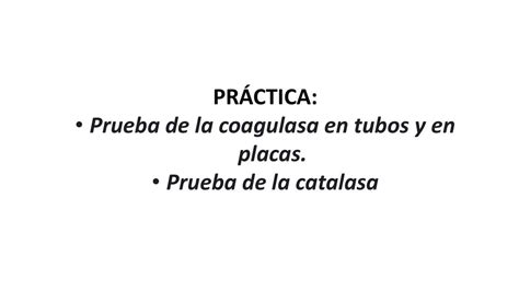 Prueba De La Coagulasa Y Catalasa Doctor Teco UDocz