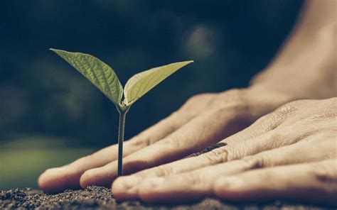 Qué hacemos para reducir nuestro impacto ambiental Papelmatic