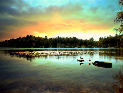 14 Most Charming Towns In The Heart Of The Adirondacks To Visit