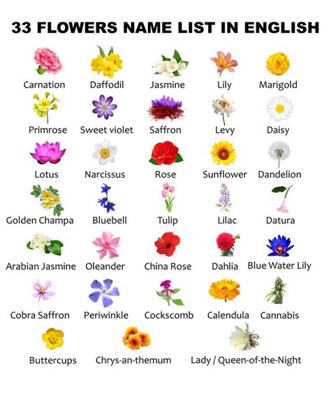 Flowers Names List In English With Pictures On The Front And Back Side
