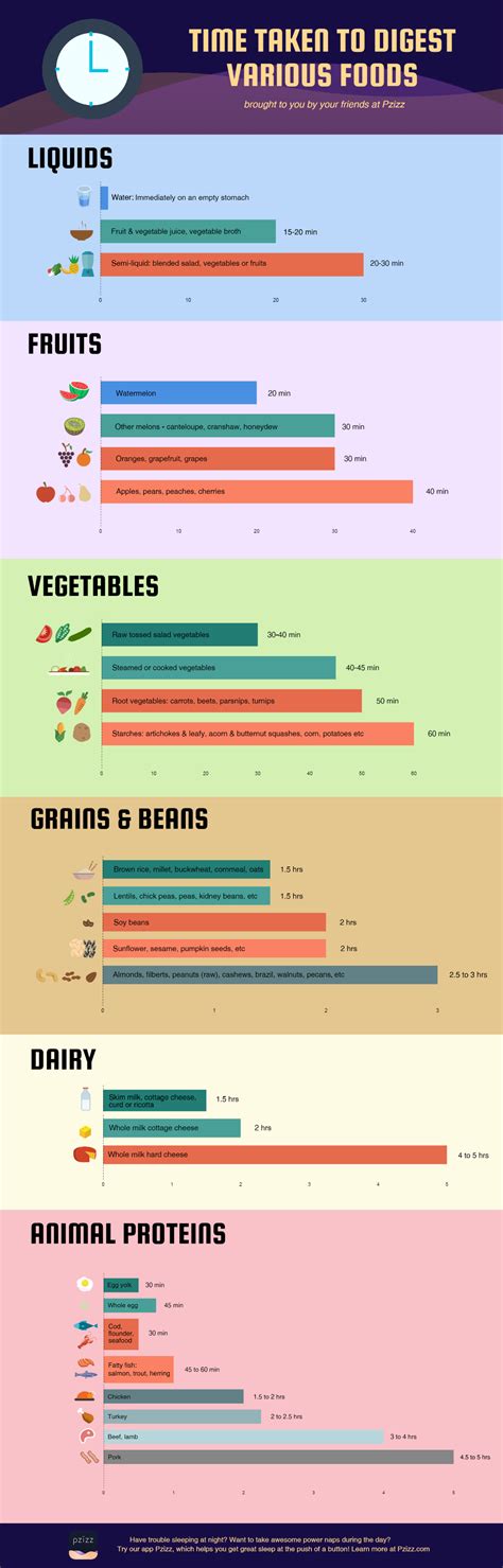 How Long Does It Take To Digest Food Pzillow Talk