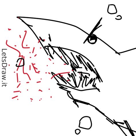 How To Draw Sharks Rws9fbkpw Png LetsDrawIt