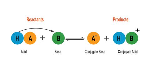 Bronsted Lowry Acid Base Theory Vector Art At Vecteezy
