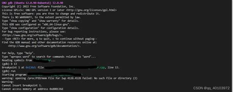 Warning Gdb Failed To Set Controlling Terminal Operation Not