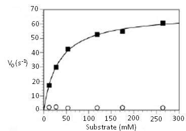 Module Enzyme Kinetics Flashcards Quizlet