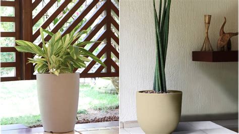 Qual O Vaso Ideal Para Cada Tipo De Planta Veja Op Es Casa Ig