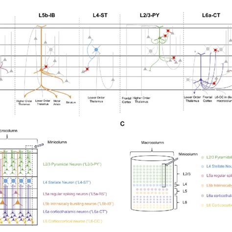 Proposed Computations Performed By A Single Pyramidal Neuron A